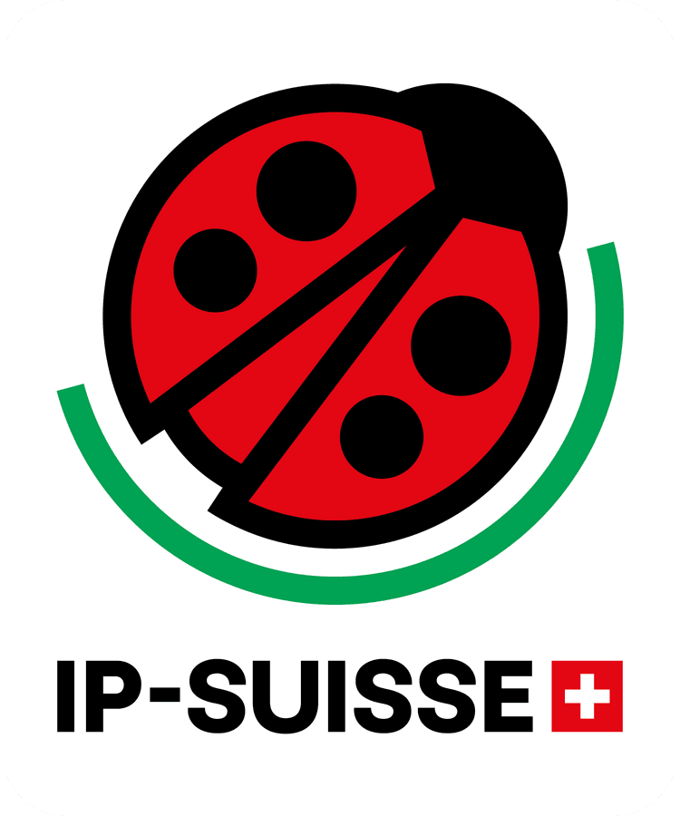 Triangolo Mais 120g IPS | Bertschi Bäckerei